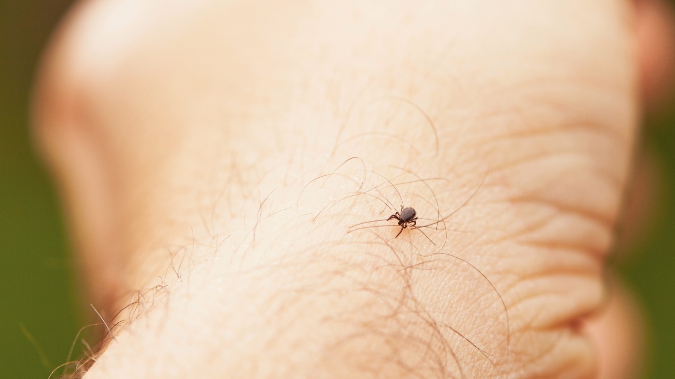 How Common Are Co-Infections, Really?